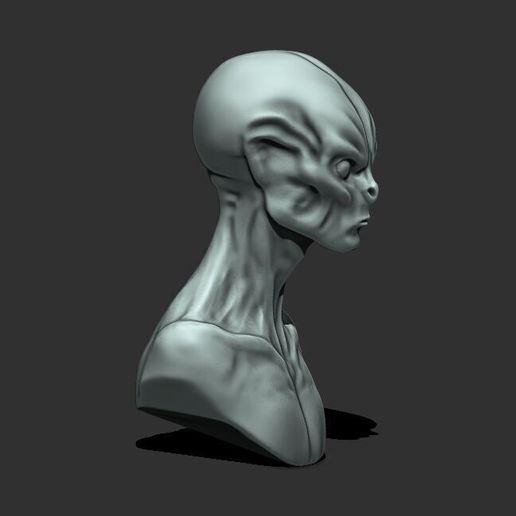 👽 Alien Bust 8 - Sculpture Detailed 3D STL 3D print・ 3D File for 3D ...
