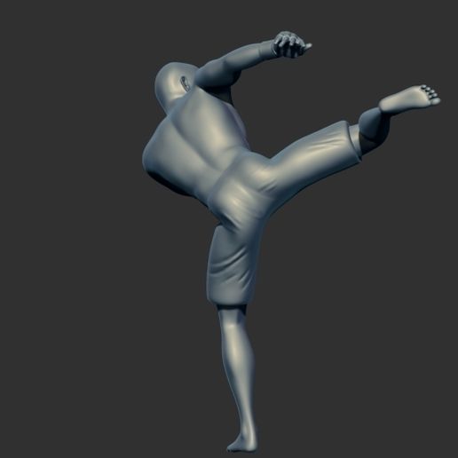 👨 mma fighter multi poses 3d printable model・ 3D File for 3D printing・Cults
