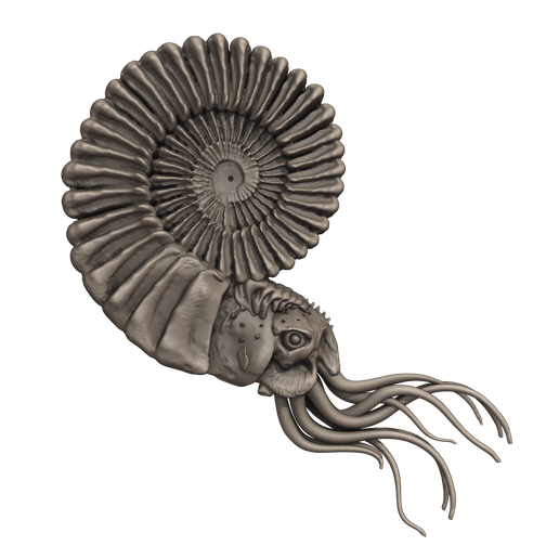 largest extinct cephalopod