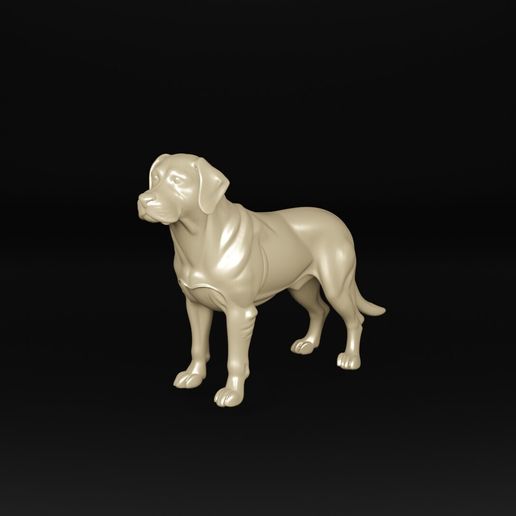 STL file Labrador Retriever 3D Printable Model – Detailed Dog STL for ...