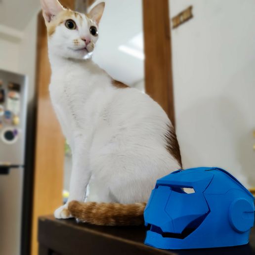 🐱 IRON CAT - CAT HELMET・ STL File for 3D printing・Cults