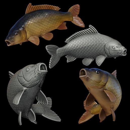 🎏 CARP / CYPRINUS CARPIO open mouth in motion fish model for 3D ...