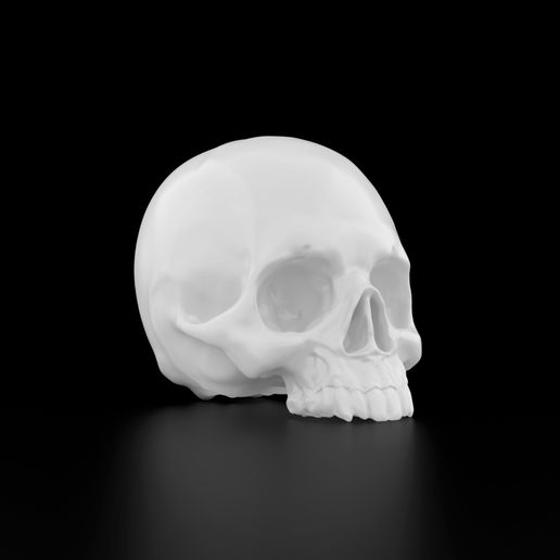 💀 Human Skull・ STL File for ・Cults
