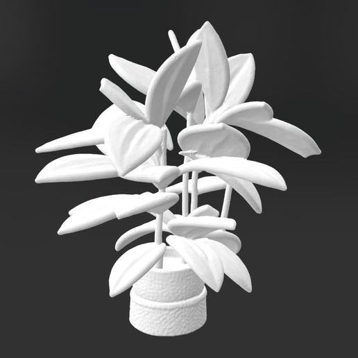🌿 Plant・ STL File for 3D printing・Cults