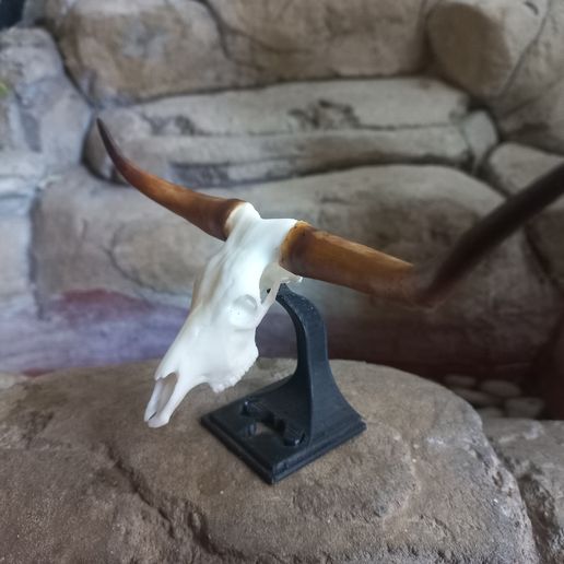 💀 Mini beasts Texas longhorn skull・ STL File for 3D printing・Cults