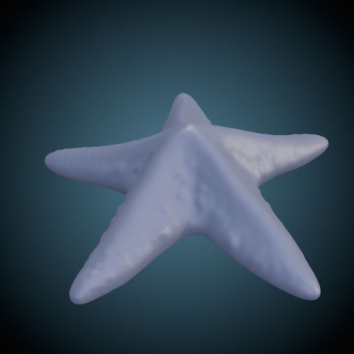 Archivo STL Starfish 🌊 ・Diseño de impresora 3D para descargar・Cults