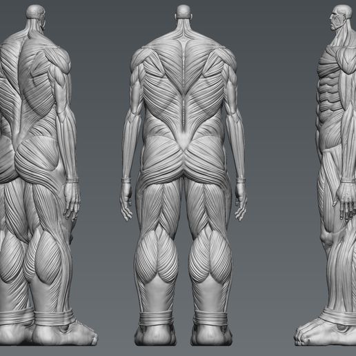 💬 Attack on Titan Titan 60m・ STL File for 3D printing・Cults