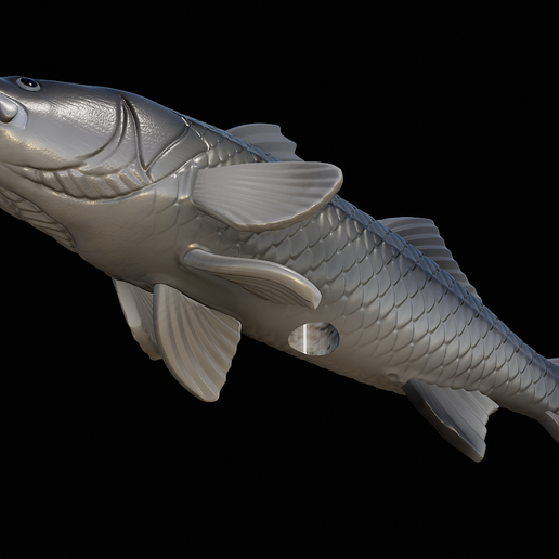 STL file fish black snook / robalo / Centropomus nigrescens open mouth ...