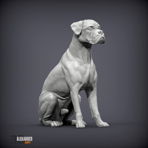 STL file Boxer dog sitting 3D print model 🐕 (OBJ)・Design to download ...