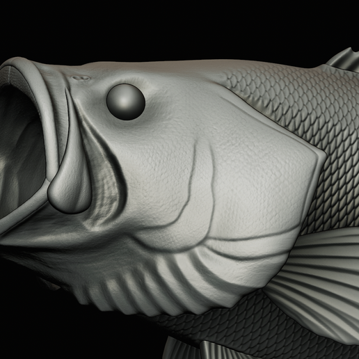 🐠 fish Largemouth Bass / Micropterus salmoides trophy statue detailed ...