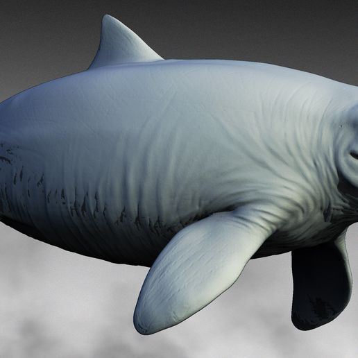 🐉 Ophthalmosaurus・ STL File for 3D printing・Cults