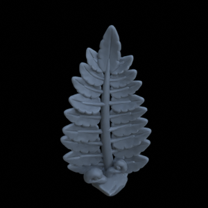 🎲 10 FERN PLANTS FOR ENVIRONMENT DIORAMA TABLETOP 1/35 1/24・ 3D File ...
