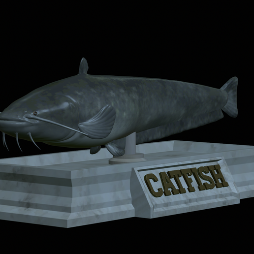 🐠 fish wels catfish / Silurus glanis statue detailed texture for 3d ...