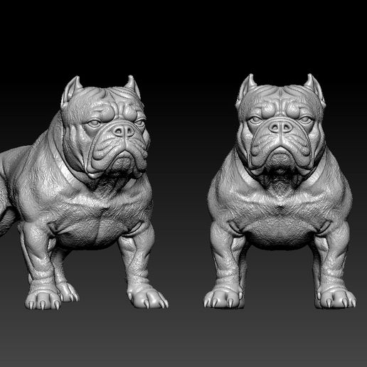 🐕 American Bully model - Bully statue Dog - 3D print・Archivo 3D para ...