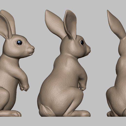 🐇 Rabbit・ STL File for ・Cults