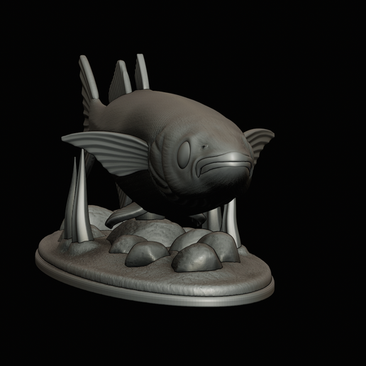🐠 fish pejerrey / Odontesthes bonariensis natural base detailed texture ...