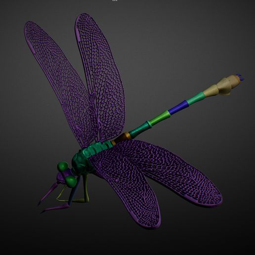 🐛 Dragonfly・ STL File for 3D printing・Cults