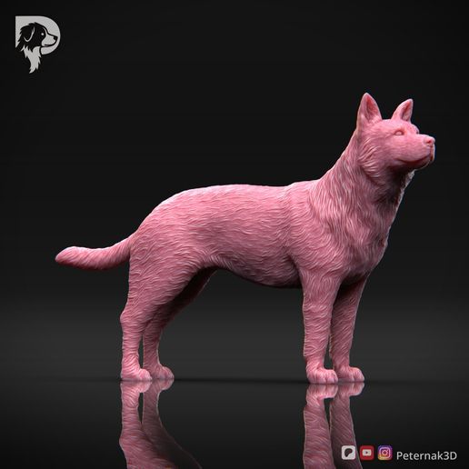 🐕 Australian Cattle Dog 3D Print Model Pose 03・ STL File for 3D ...