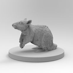 Rat best STL files for 3D printing・819 models to download・Cults