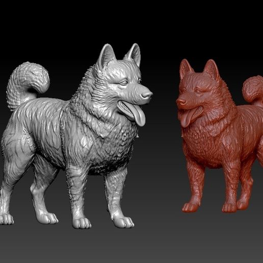 🐕 Schipperke Dog model- Little Captain Dog - 3D print・ 3D File for 3D ...