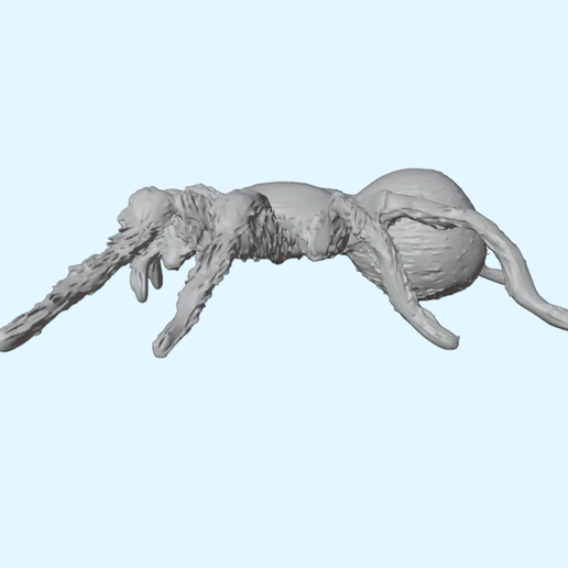 🕷️ Realistic Tarantula・ STL File for 3D printing・Cults