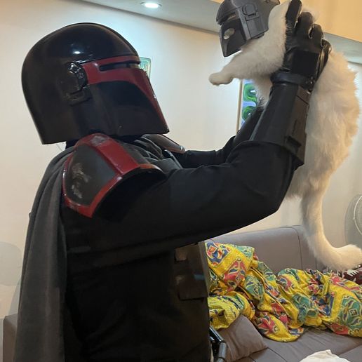 🐱 Mandalorian Cat Helmet / Cat Mask Halloween・ STL File for 3D printing ...