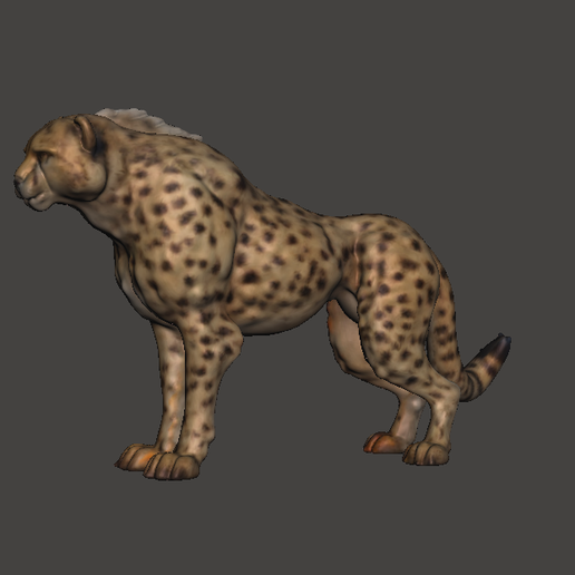 STL file Fast and Muscular Cheetah Figure - 3D Print Model 🐆 (OBJ)・3D ...