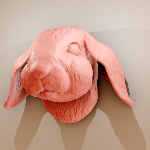 STL file bunny rabbit ears down wall mount head stl 🐇 ・3D printer model ...
