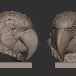 Parrot best free 3D printer models・110 designs to download・Cults