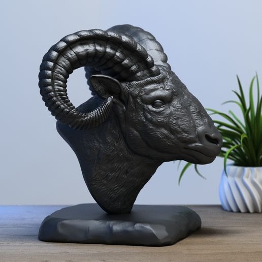 STL file Ram head bust, Animal head, Animal bust, Goat bust, Goat head ...