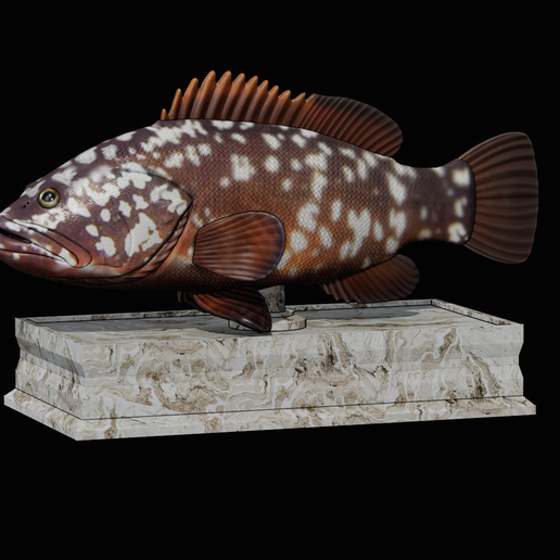 STL file fish dusky grouper / Epinephelus marginatus with storage space ...