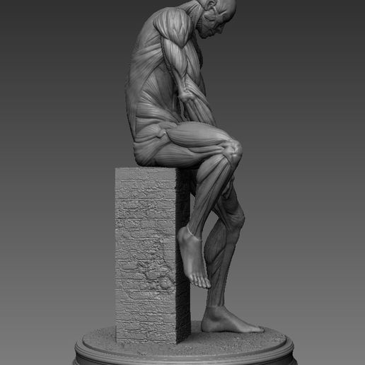 STL file Human Anatomy art 🎨 ・3D printable model to download・Cults
