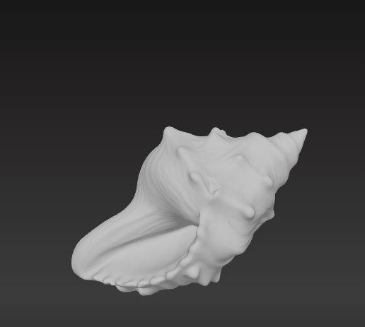 🐚 Simple Shell・Free STL File for 3D printing・Cults