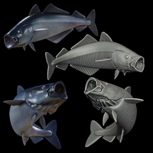 👄 COALFISH / POLLACHIUS VIRENS boca abierta en movimiento modelo de pez ...