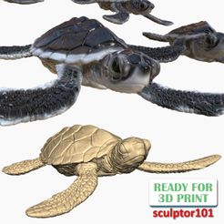 Sea Turtle best 3D printing files・41 free models to download・Cults