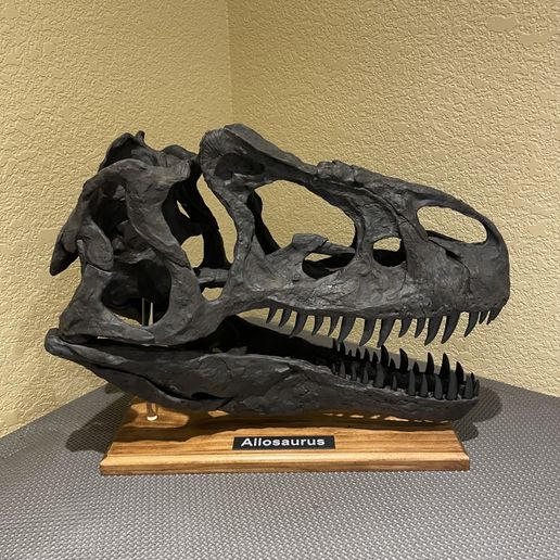 💀 Allosaurus skull・3D Print with the Bambu Labs P1S 3D printer・Cults