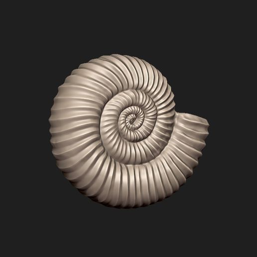 🐉 Ammonite・Fichier STL pour Impression 3D・Cults