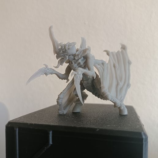 3D printable Space Bug Alien Winged Warrior Leader • made with Anycubic ...