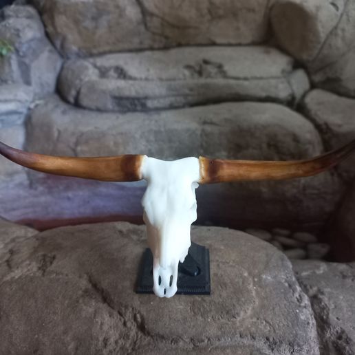 💀 Mini beasts Texas longhorn skull・ STL File for 3D printing・Cults