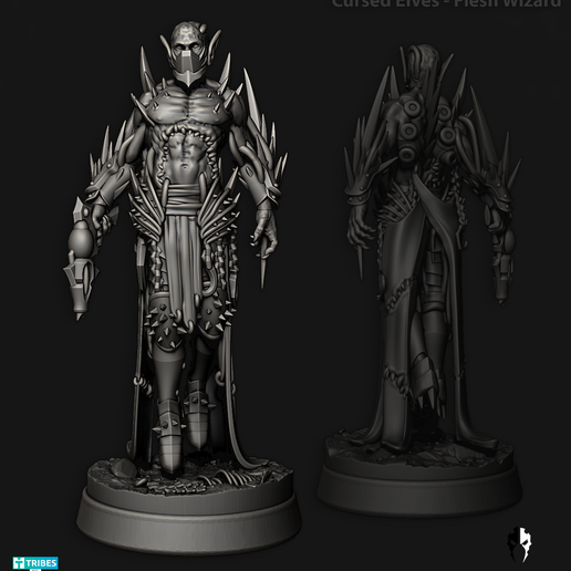 🧝 Cursed Elves 2.0 - Flesh Wizard・ 3D File for ・Cults