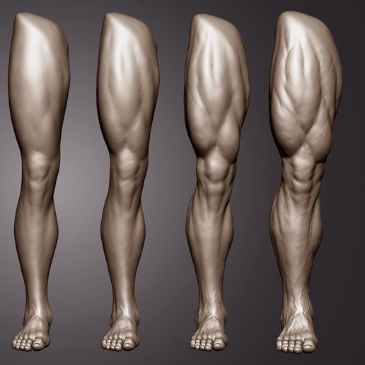 ♂️ Male Leg Anatomy Study – Leg Transformation Pack・ 3D File for 3D ...