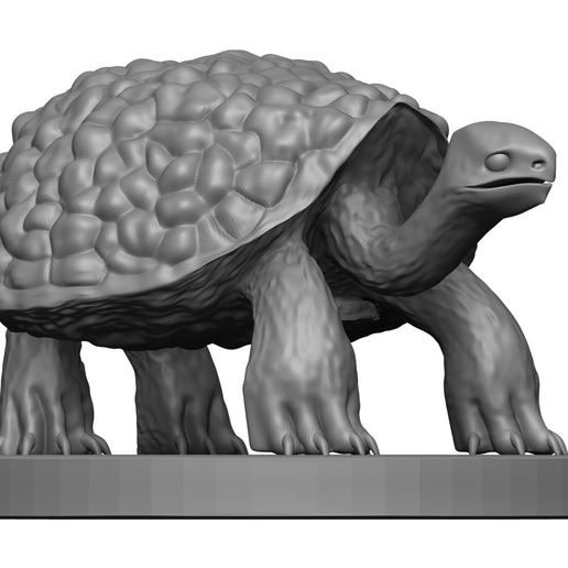 STL file Tortoise 👾 ・3D printer design to download・Cults