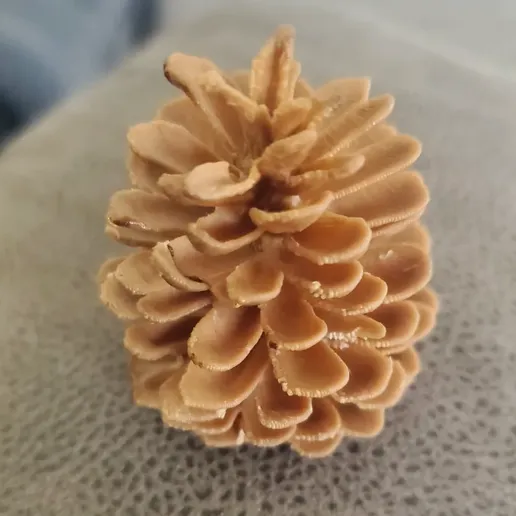 3MF file Pinecone 🎉 ・3D printer design to download・Cults