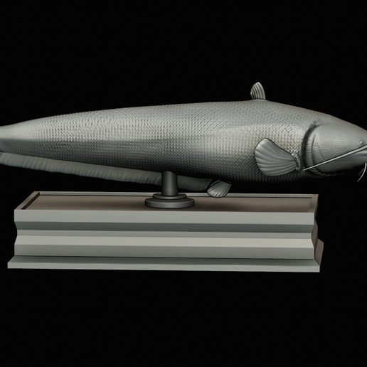 🐠 fish catfish / Silurus glanis with storage space / for 3d printing ...