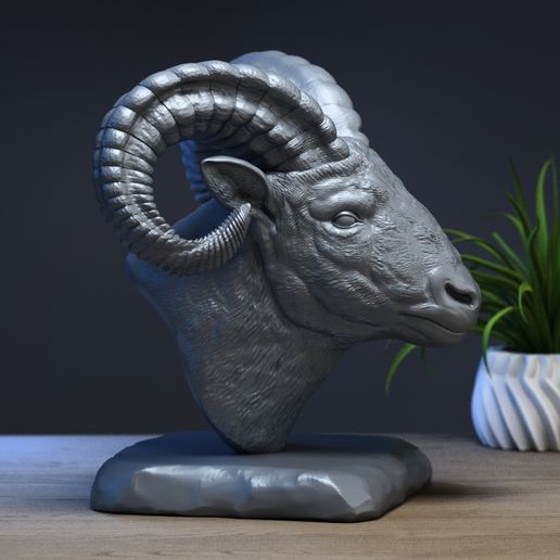 STL file Ram head bust, Animal head, Animal bust, Goat bust, Goat head ...