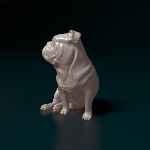 STL file English bulldog 02 🐕 (OBJ)・Design to download and 3D print・Cults