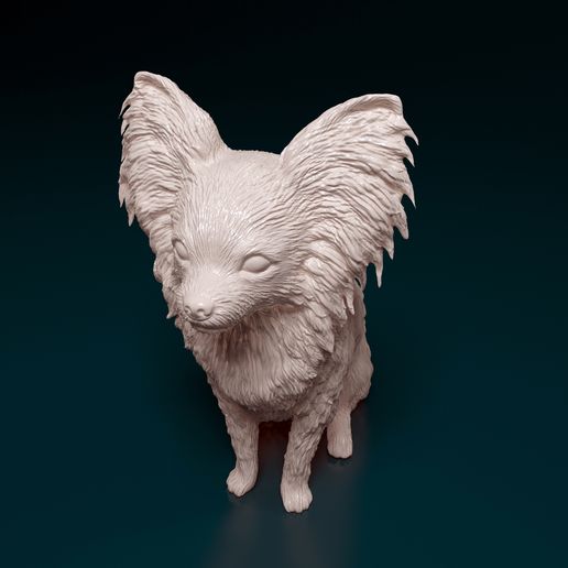 🐕 Papillon・ STL File for 3D printing・Cults