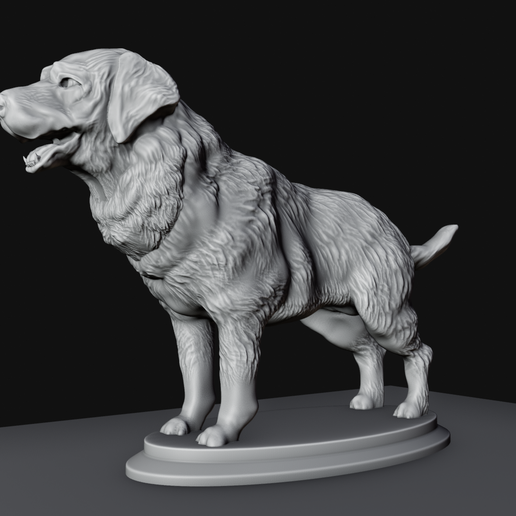 STL file labrador stl 🐕 ・3D printable model to download・Cults
