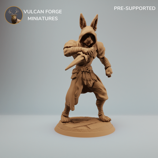 🐇 Harengon Rabbit Folk Rogue Assassin - Pre supported・ 3D File for 3D ...
