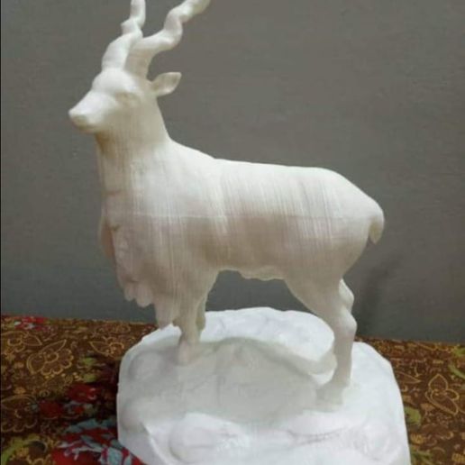 🐐 Markhor - GOAT- ISI- ANIMAL- RAM- MOUNTAIN GOAT- SHEEP・ STL File for ...